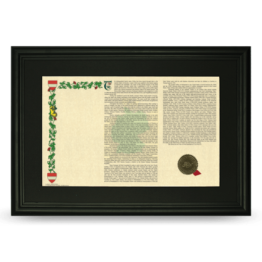 Schwartz Name Meaning, Family History, Family Crest & Coats of Arms