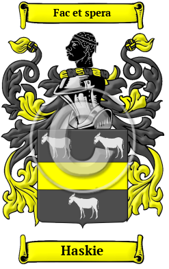 Haskie Name Meaning, Family History, Family Crest & Coats of Arms