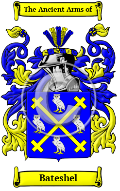 Bateshel Name Meaning, Family History, Family Crest & Coats of Arms