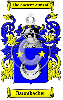 Baumbacher Name Meaning, Family History, Family Crest & Coats of Arms