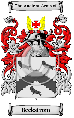 Beckstrom Name Meaning, Family History, Family Crest & Coats of Arms ...