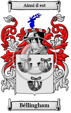 Béllingham Name Meaning, Family History, Family Crest & Coats of Arms