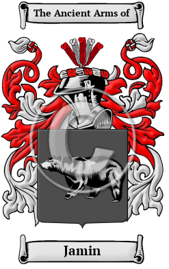 Jamin Name Meaning, Family History, Family Crest & Coats of Arms