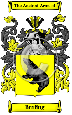 Burling Name Meaning, Family History, Family Crest & Coats of Arms