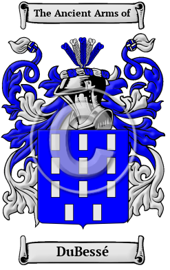 Dubessé Name Meaning, Family History, Family Crest & Coats of Arms
