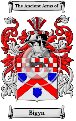 Bigyn Name Meaning, Family History, Family Crest & Coats of Arms