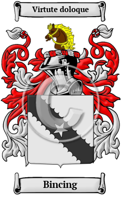 Bincing Name Meaning, Family History, Family Crest & Coats of Arms