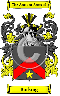 Burking Name Meaning, Family History, Family Crest & Coats of Arms