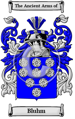 Bluhm Name Meaning, Family History, Family Crest & Coats of Arms