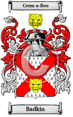 Badkin Name Meaning, Family History, Family Crest & Coats of Arms