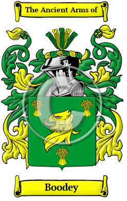 Boodey Name Meaning, Family History, Family Crest & Coats of Arms