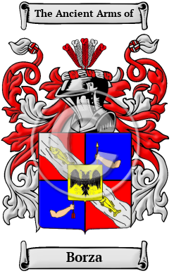 Borza Name Meaning, Family History, Family Crest & Coats of Arms