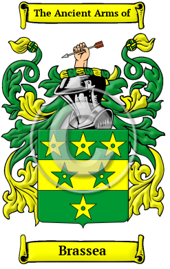 Brassea Name Meaning, Family History, Family Crest & Coats of Arms