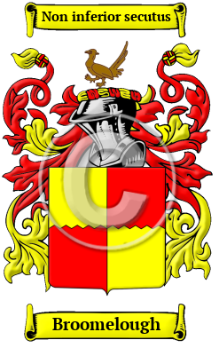 Broomelough Name Meaning, Family History, Family Crest & Coats of Arms