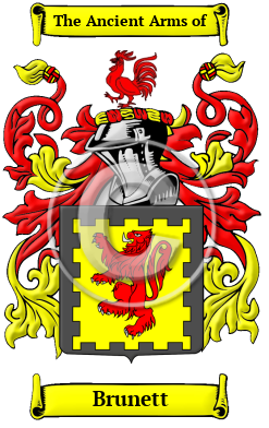 Brunett Name Meaning, Family History, Family Crest & Coats of Arms