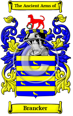 Brancker Name Meaning, Family History, Family Crest & Coats of Arms