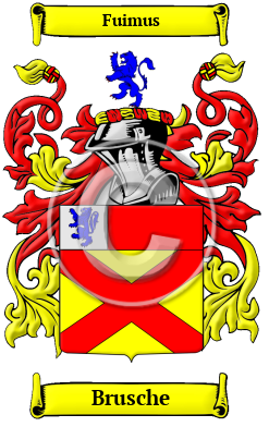 Brusche Name Meaning, Family History, Family Crest & Coats of Arms