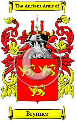 Brynner Name Meaning, Family History, Family Crest & Coats of Arms