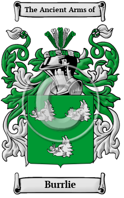 Burrlie Name Meaning, Family History, Family Crest & Coats of Arms