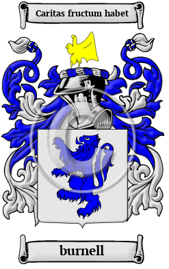 Burnell Name Meaning, Family History, Family Crest & Coats of Arms