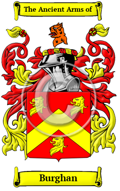 Burghan Name Meaning, Family History, Family Crest & Coats of Arms