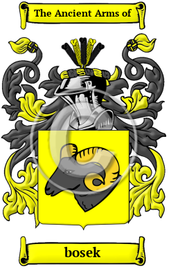 Bosek Name Meaning, Family History, Family Crest & Coats of Arms