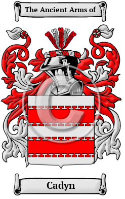 Cadyn Name Meaning, Family History, Family Crest & Coats of Arms