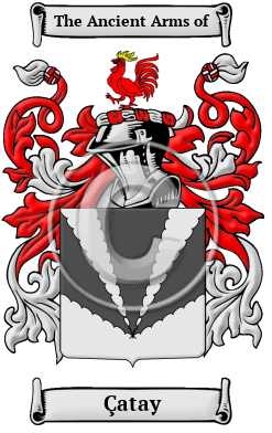 Çatay Name Meaning, Family History, Family Crest & Coats of Arms