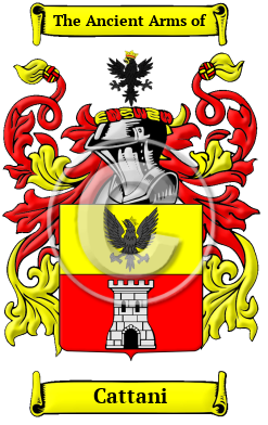 Cattani Name Meaning, Family History, Family Crest & Coats of Arms
