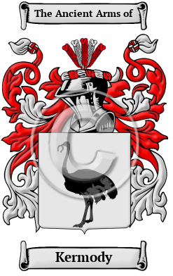 Kermody Name Meaning, Family History, Family Crest & Coats of Arms