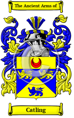 Catling Name Meaning, Family History, Family Crest & Coats of Arms