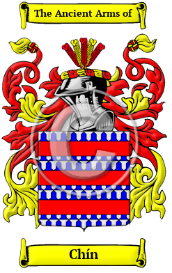 Chín Name Meaning, Family History, Family Crest & Coats of Arms