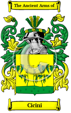 Cicini Name Meaning, Family History, Family Crest & Coats of Arms