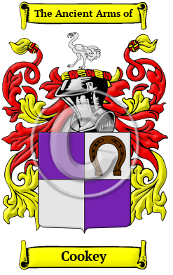 Cookey Name Meaning, Family History, Family Crest & Coats of Arms