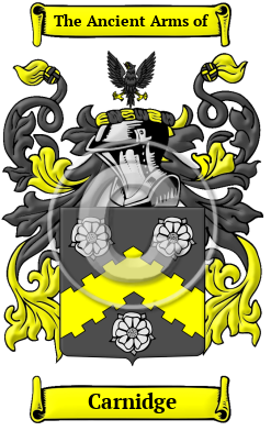 Carnidge Name Meaning, Family History, Family Crest & Coats of Arms