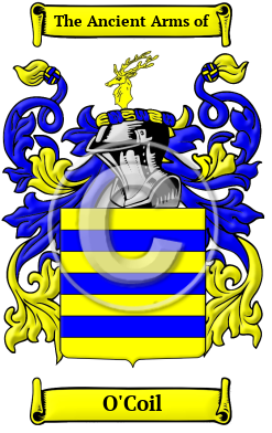 O'Coil Name Meaning, Family History, Family Crest & Coats of Arms