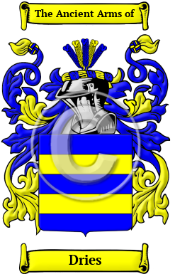 Dries Name Meaning, Family History, Family Crest & Coats of Arms