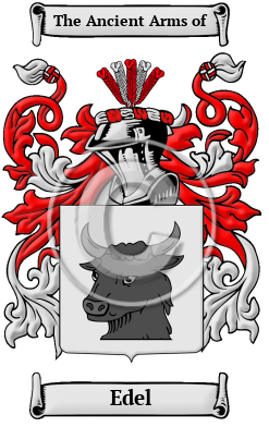 Edel Name Meaning, Family History, Family Crest & Coats of Arms