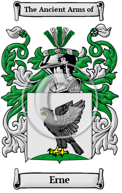 Erne Name Meaning, Family History, Family Crest & Coats of Arms