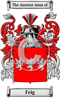 Feig Name Meaning, Family History, Family Crest & Coats of Arms