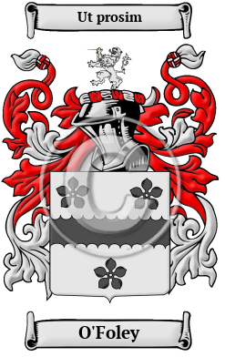 O'Foley Name Meaning, Family History, Family Crest & Coats of Arms