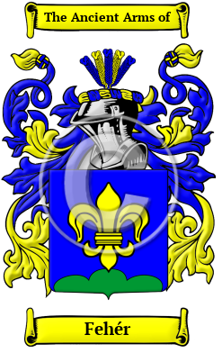 Fehér Name Meaning, Family History, Family Crest & Coats of Arms