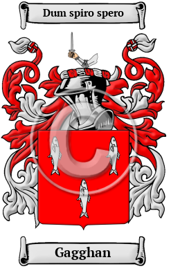 Gagghan Name Meaning, Family History, Family Crest & Coats of Arms
