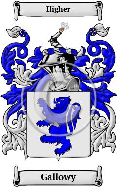 Gallowy Name Meaning, Family History, Family Crest & Coats of Arms