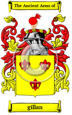 Gillan Name Meaning, Family History, Family Crest & Coats of Arms, Irish