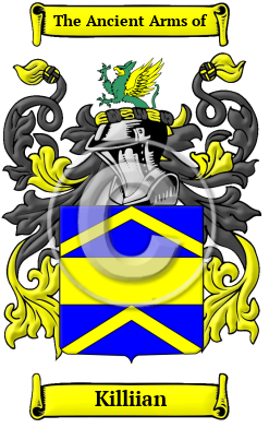 Killiian Name Meaning, Family History, Family Crest & Coats of Arms