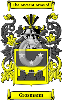 Grosmann Name Meaning, Family History, Family Crest & Coats of Arms