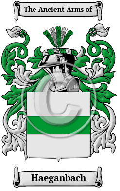 Haeganbach Name Meaning, Family History, Family Crest & Coats of Arms