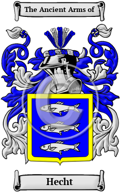 Hecht Name Meaning, Family History, Family Crest & Coats of Arms