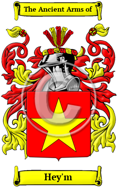 Hey'm Name Meaning, Family History, Family Crest & Coats of Arms